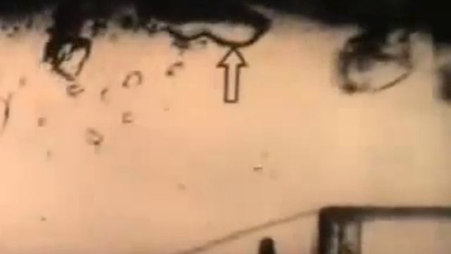 Газожидкостные течения в элементах насосов. Практическое применение гидродинамики