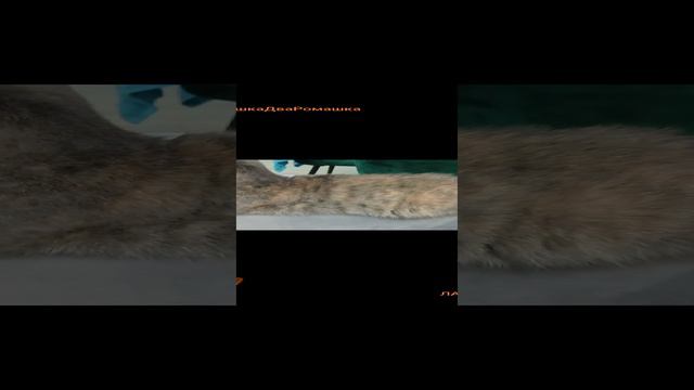 Иска😻😻😻