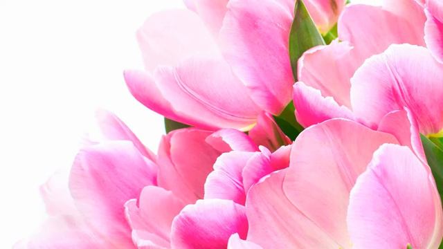 Jacques Loussier Satie Var 1 вариант 2_1080p