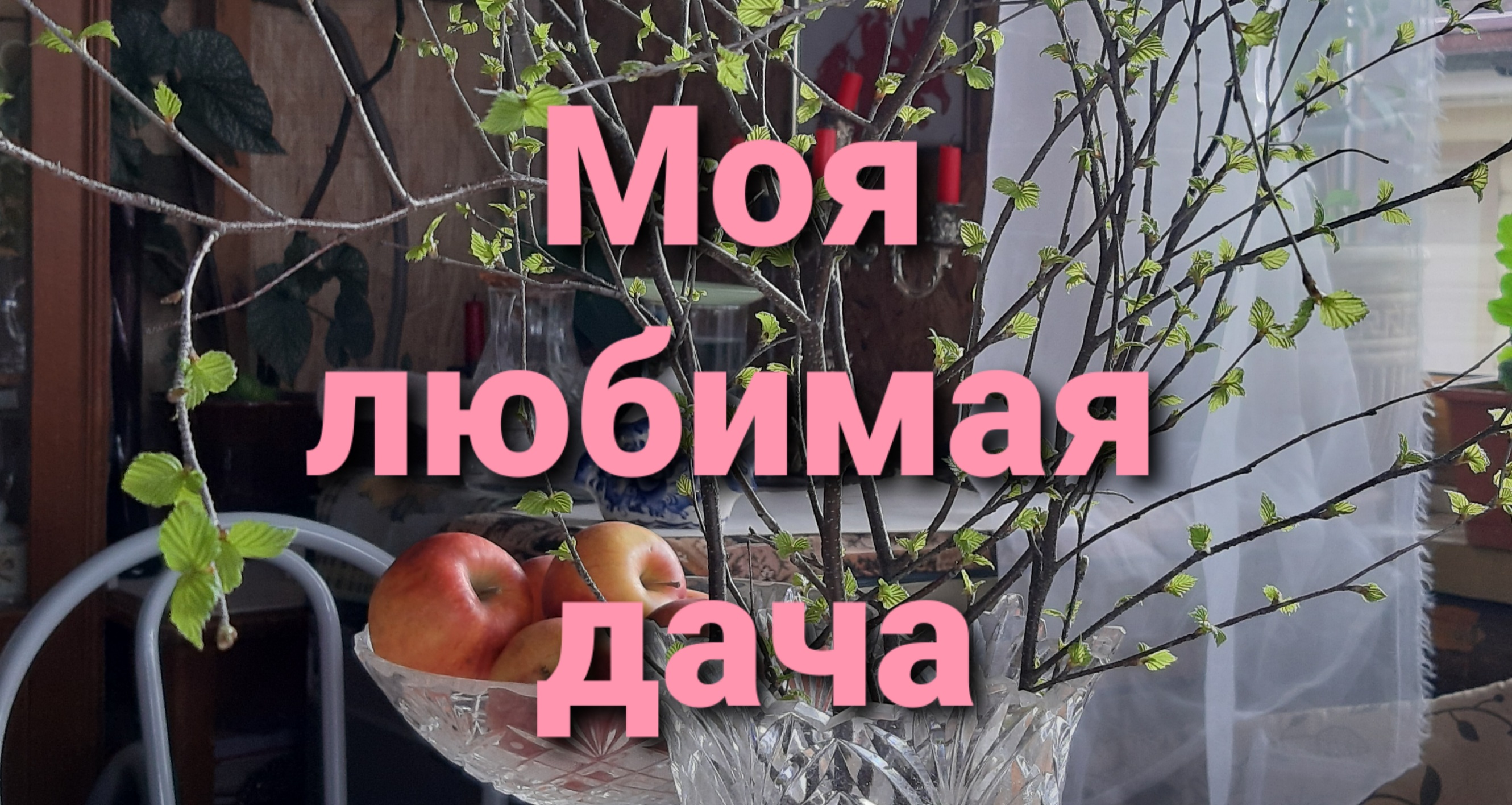 Моя любимая дача. 25 апреля 2022.