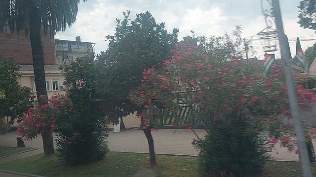 г. Сухум (Абхазия) / Вид из авто на центр города