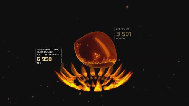 Энергетическое топливо (сравнительный анализ)