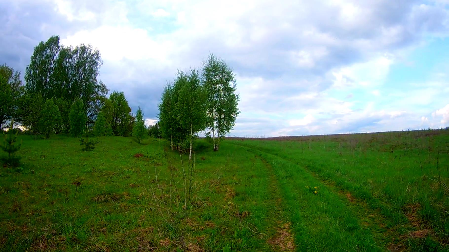 ?Опасный велопоход _ малина _ лучковая пила _ пожар _ жесть.