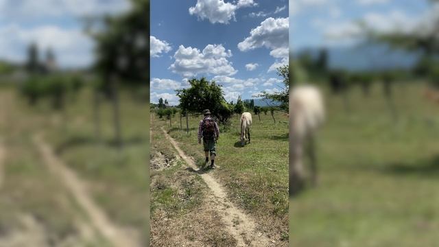 "ЯкавЮрич, с Днём рождения!" или "Что там РМ делают на практике?"