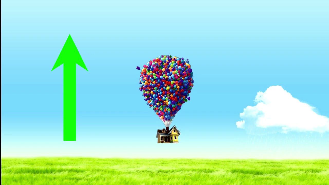 ЛИНИИ НА ШАХМАТНОЙ ДОСКЕ. Тренер Арно.