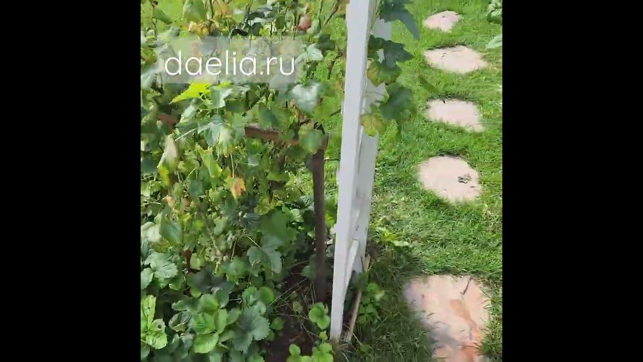 Утро на Villa Daelia