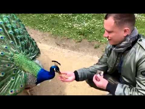 Париж моими глазами!