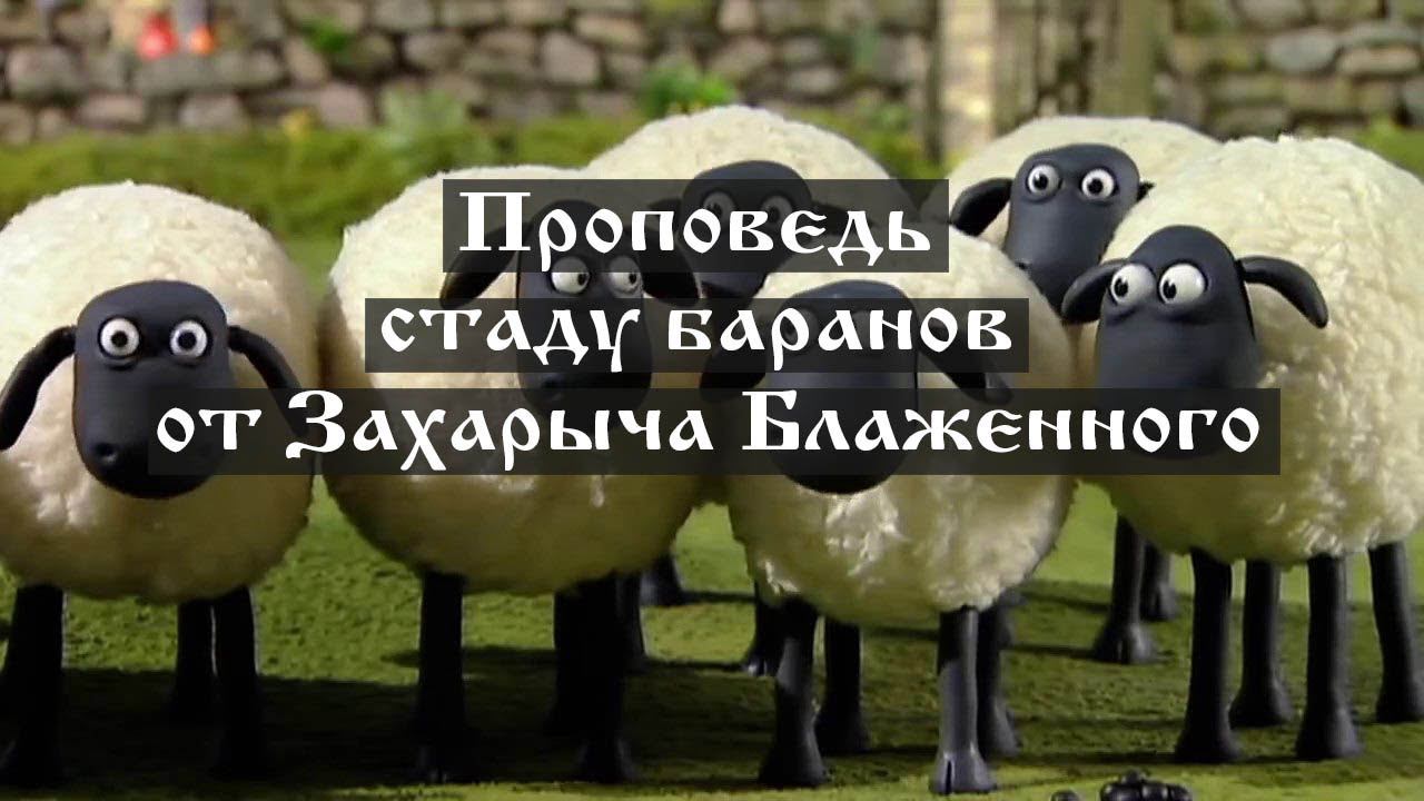 Проповедь стаду баранов от Захарыча Блаженного