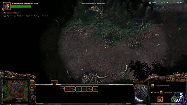 StarCraft II: Суровое Испытание!!