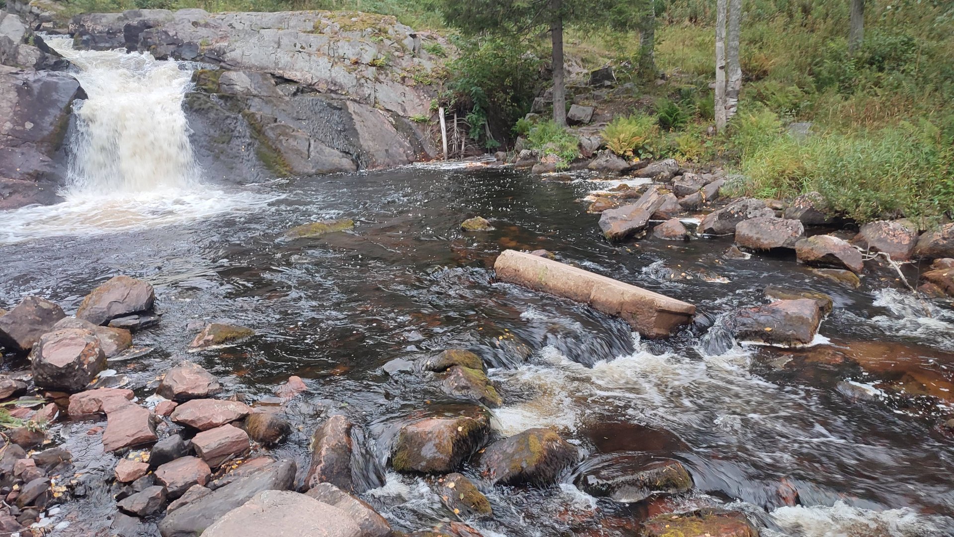 ВОДОПАД КОЙРИНОЯ ОБЗОР. КАРЕЛИЯ 31.08.24