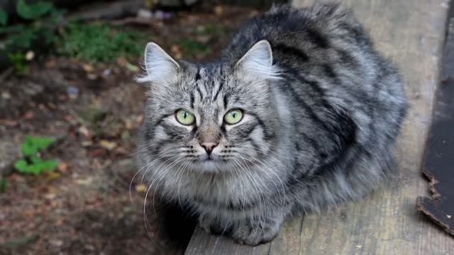 Томск-2019. Третья серия