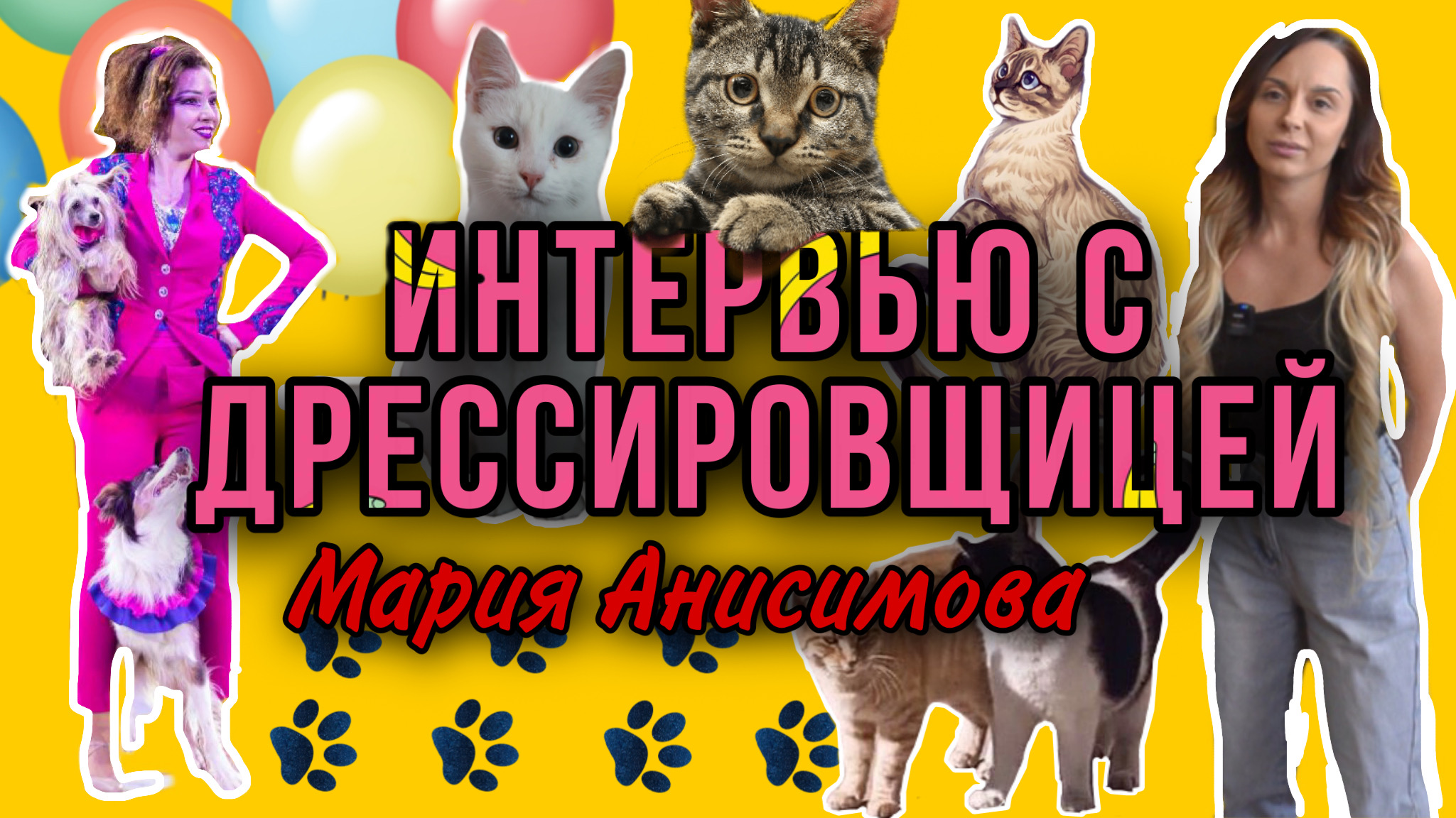 ИНТЕРВЬЮ С ДРЕССИРОВЩИЦЕЙ /МАРИЯ АНИСИМОВА /Посиделки у Анжелки /Шувалова #s_p0ntom_pod_z0ntom