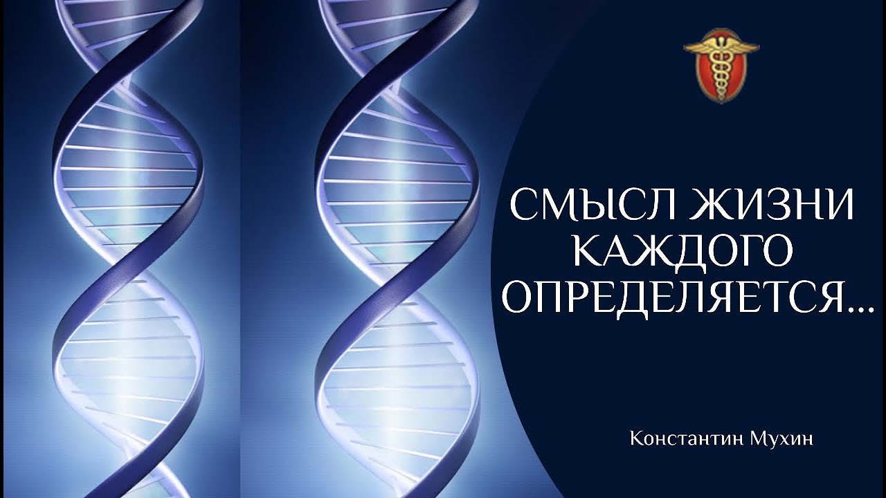 ☯ Смысл жизни человека | Константин Мухин