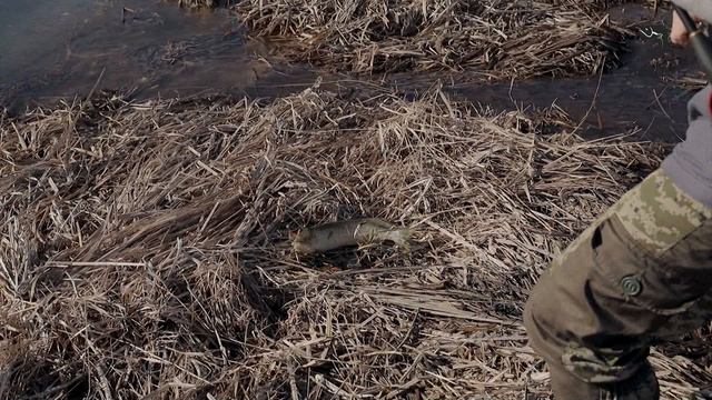 Разная рыбалка. Анонс. Канал Рыболов.