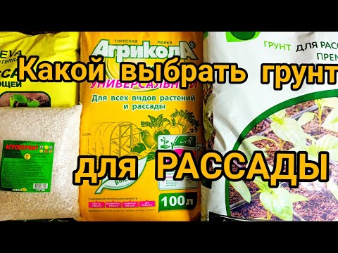 Грунт для рассады , лучший грунт для рассады , грунт ,перлит
