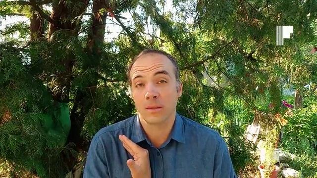 Андрей Малахов об Украине