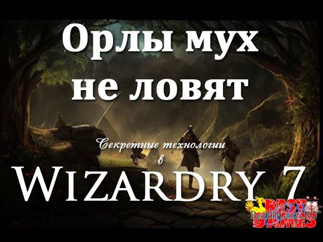 Wizardry 7 - Секретные технологии. Орлы мух не ловят