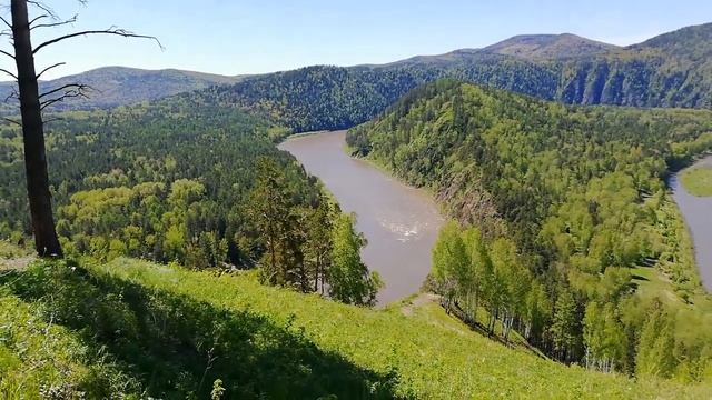 Манская петля