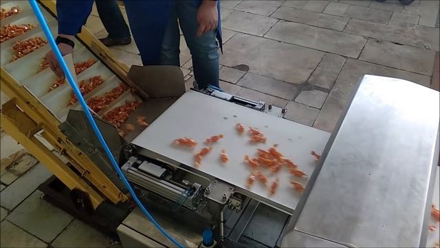 Конвейерные системы THS_PackSol-(1080p30).webm