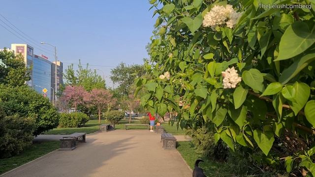 World in Emotion #43 Squares and boulevards Komsomolskiy KRD Part 3