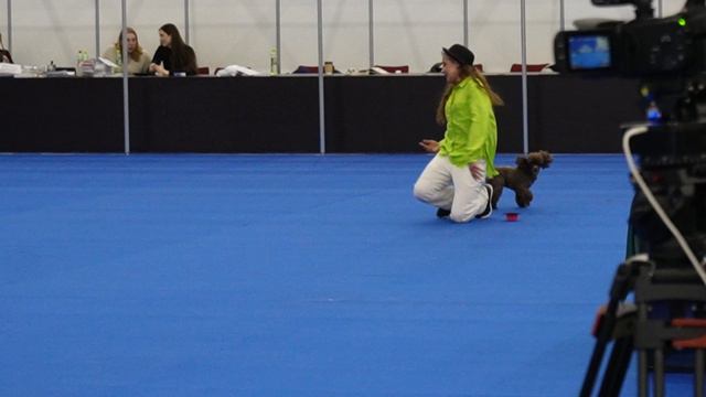 Танцы с собакамиИрина Латицина.Танцы с собаками.Чемпионат России,кубок Росси . 2024.Санкт-Петербург.