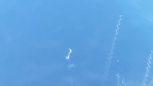 Кто быстрее? Наперегонки с кораблем. "Подводные птицы".