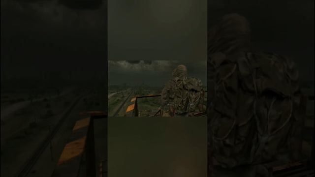 Предложил_бы_кто-нибудь_чаек__фразысосмыслом__актуальноевсегда_