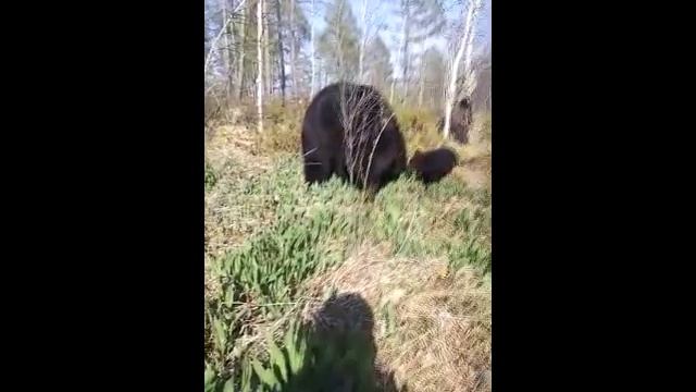 КОМЕДИЯ РОК  Мой трёхаккордный Рок-н-ролл!!!