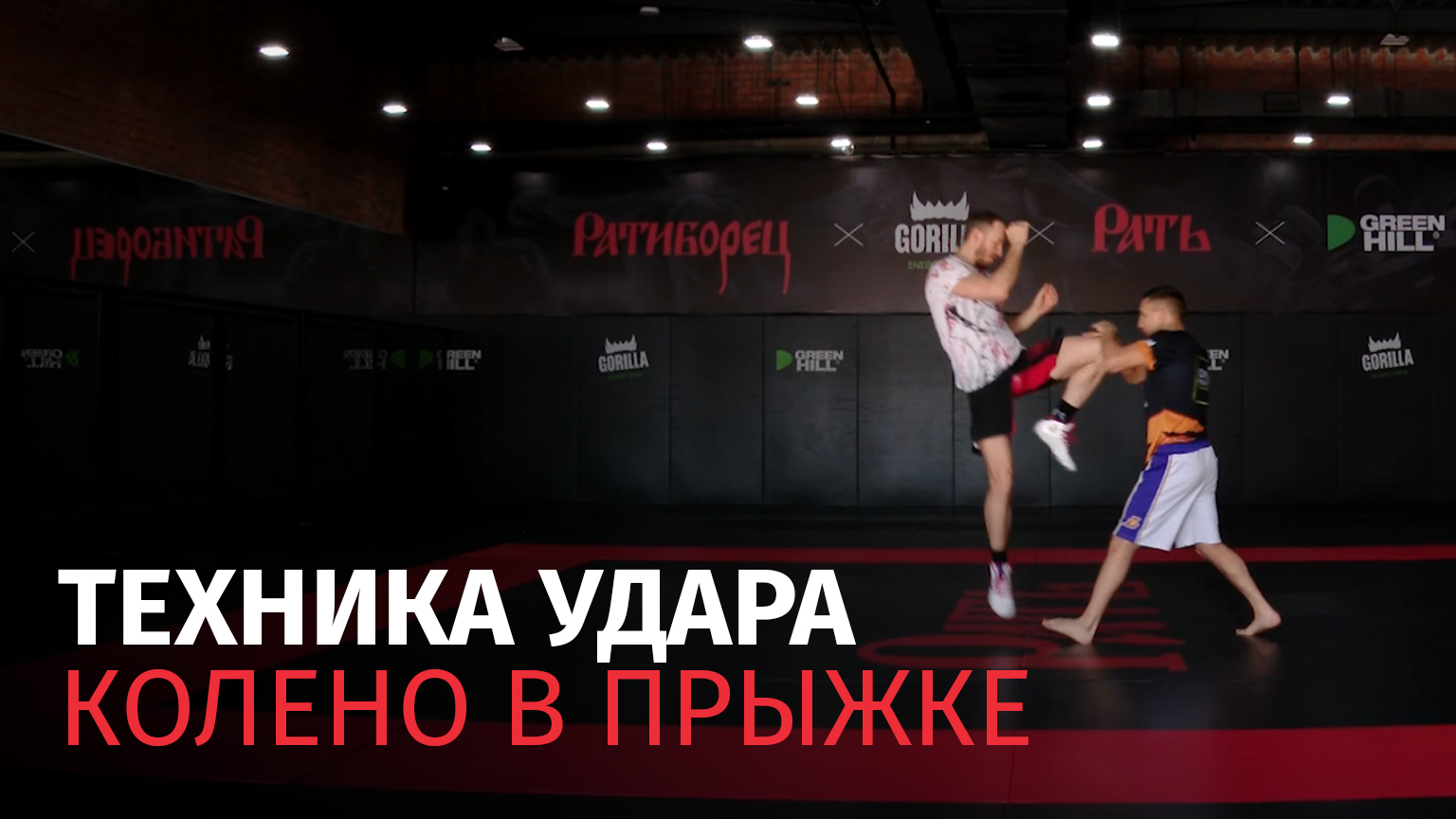 Техника удара - колено в прыжке