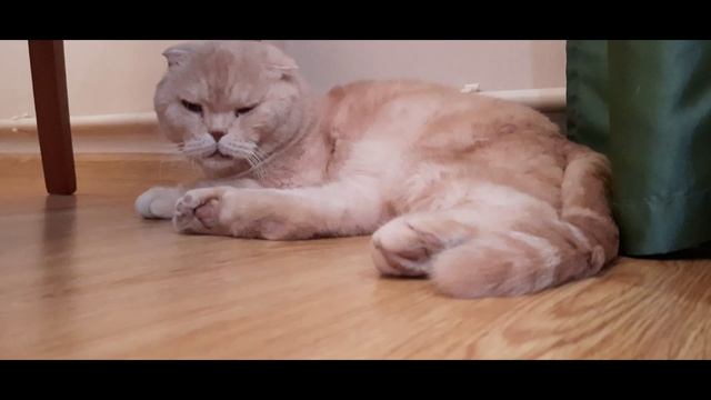 Сборник моих видео часть 2