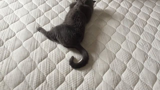 Испытание нового матраца (не реклама!)