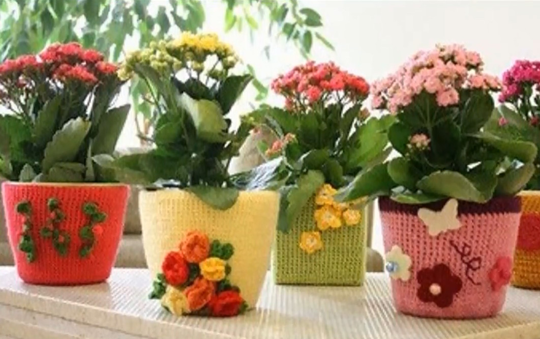 Декорированные цветочные горшки