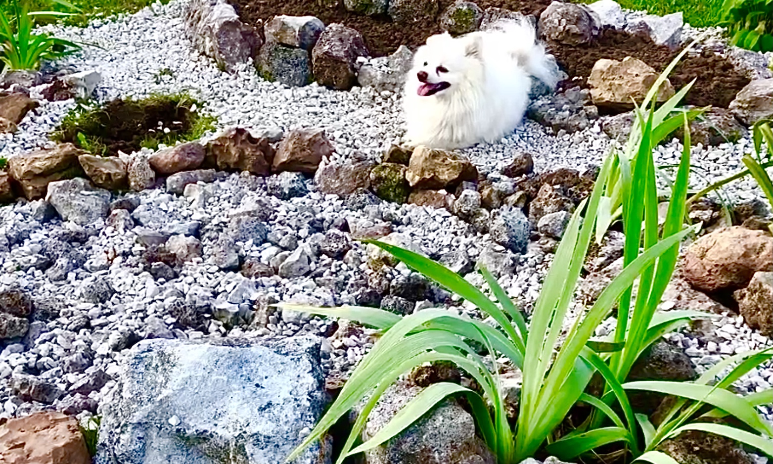 Как сделать Сухой Пруд своими руками