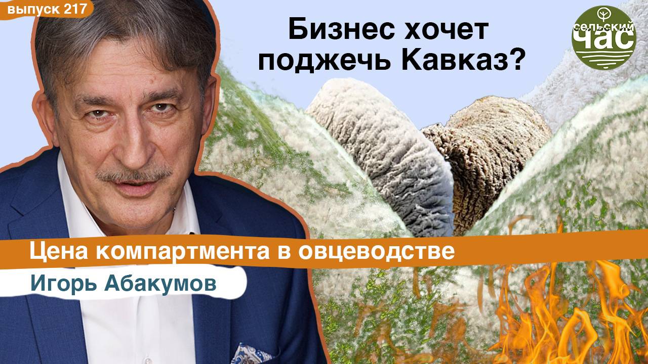 Бизнес хочет поджечь Кавказ? Сельский Час # 217 (Игорь Абакумов)