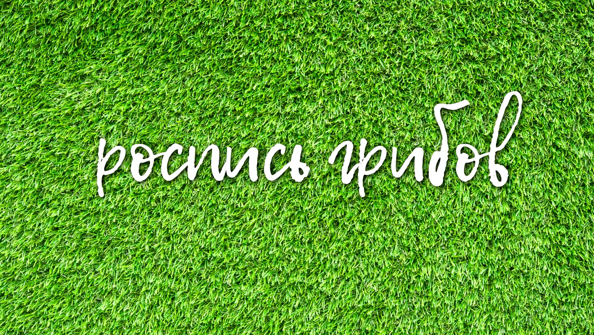 Роспись грибочков.mp4