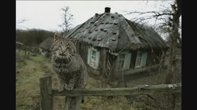 Bryan Milton - Sorrow (Самогон)