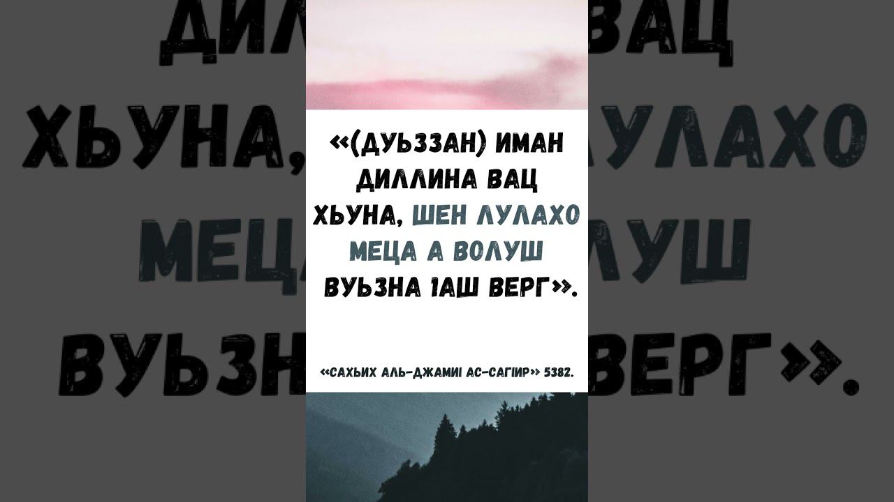 (Дуьззан) Иман диллина вац хьуна, шен лулахо меца а волуш вуьзна lаш верг || ДИН ДОВЗАР #суннат