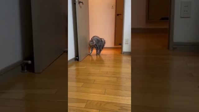 Всем хорошего настроения ?