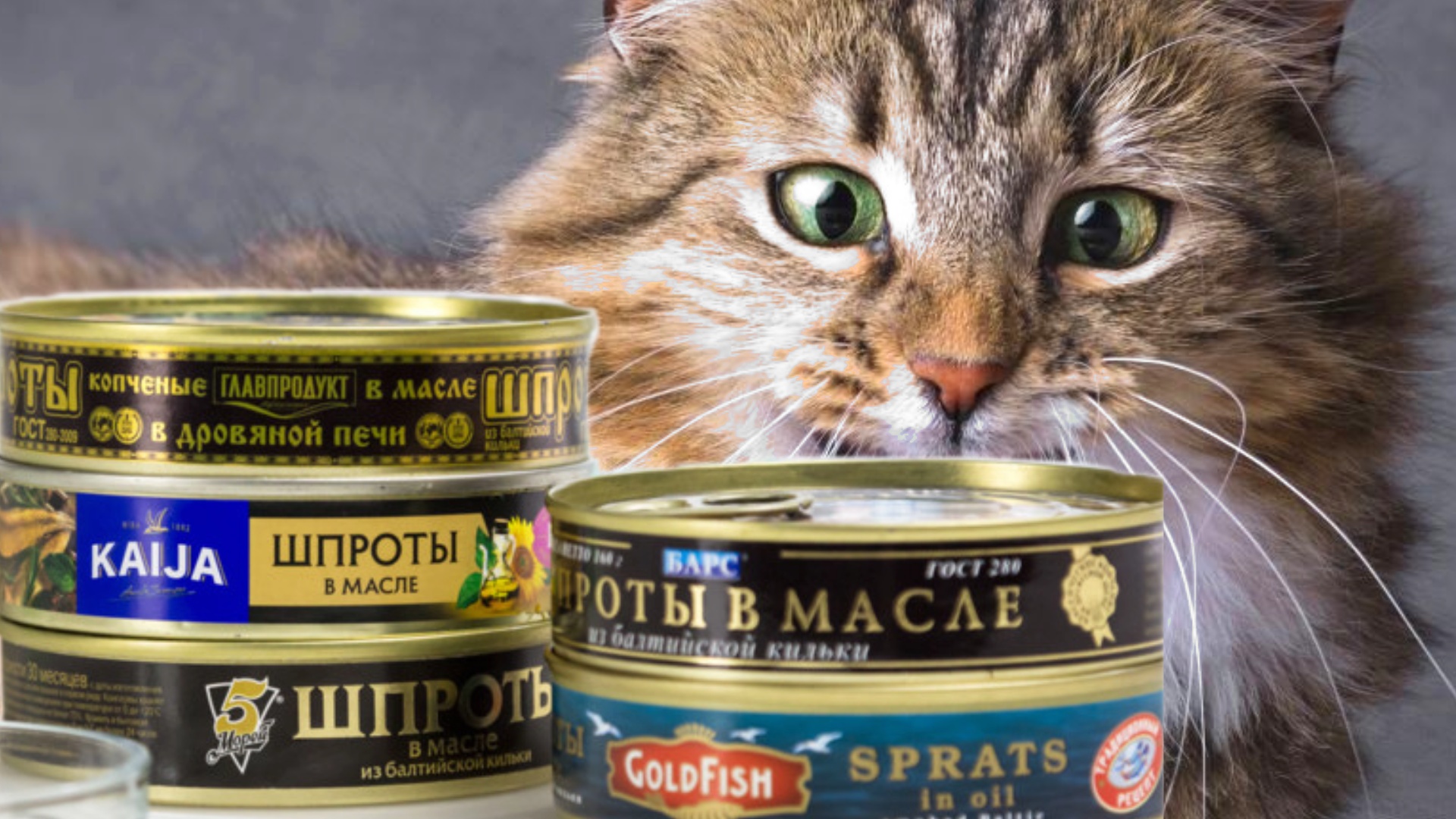 Экспертиза_ лучшие шпроты в масле.mp4