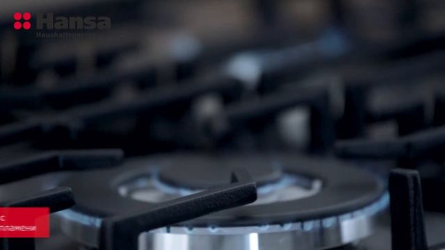 Варочная панель Hansa BHGI63130 и BHGI631301