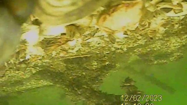 YouCut_20231202_162643503.mp4