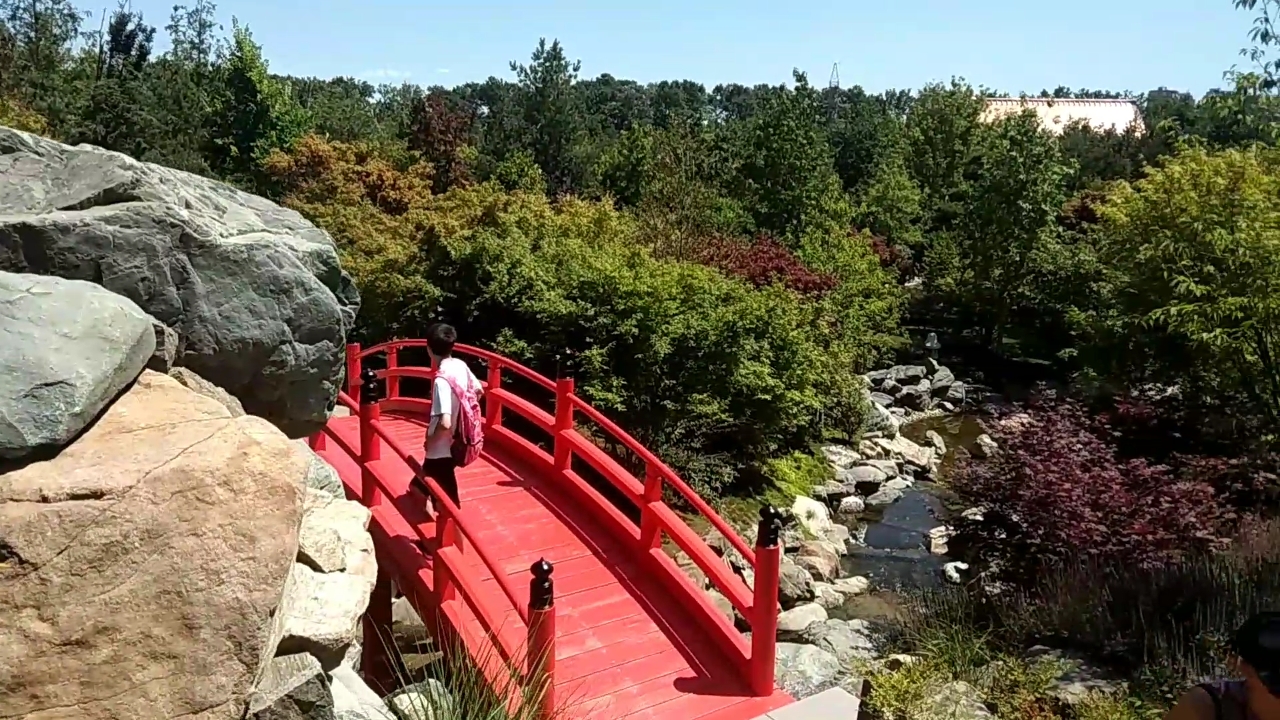 Краснодар - Японский сад в парке Галицкого - 03 июля 2023