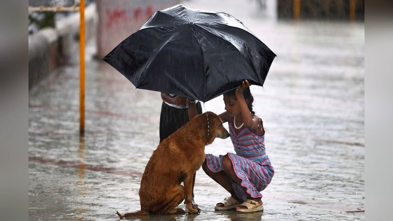 Напоминание о добре. Добрые поступки и невероятно трогательные моменты. Podborkin TV