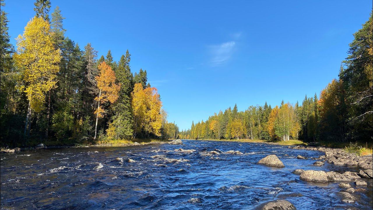 Рыбалка на слиянии двух рек / Дикая тайга вокруг / Спиннинг