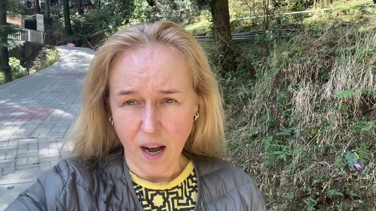 Сокол / послание Гималаев/ песня между мирами