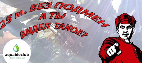 Аквариум самп на окне 25 м без подмен воды на био и фито фильтре.