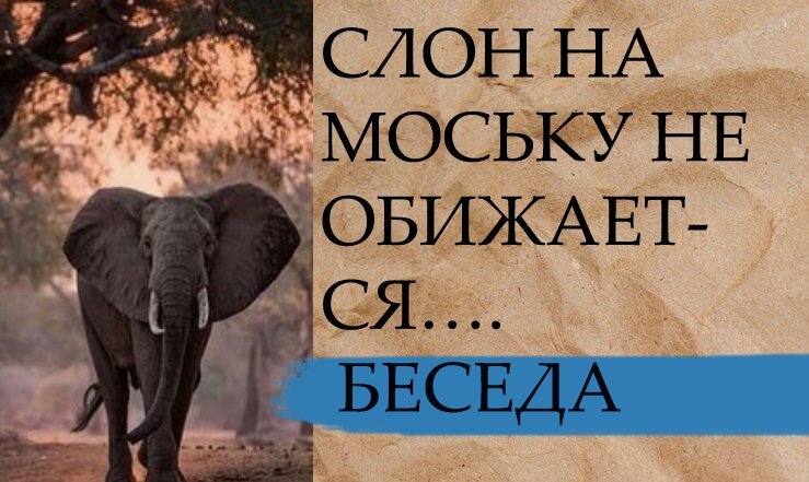 СЛОН НА МОСЬКУ НЕ ОБИЖАЕТСЯ…..