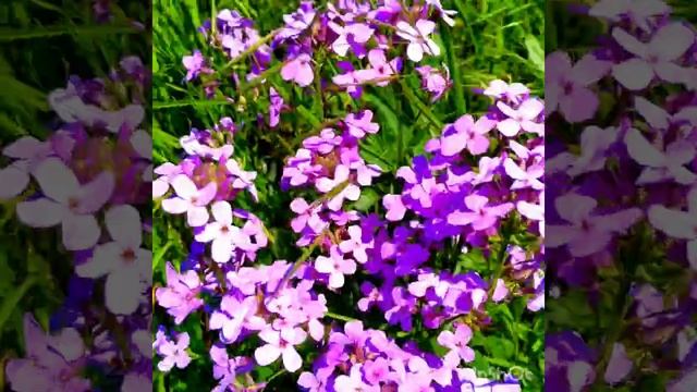 Влог. Знакомство с нашим каналом. Startup 1.