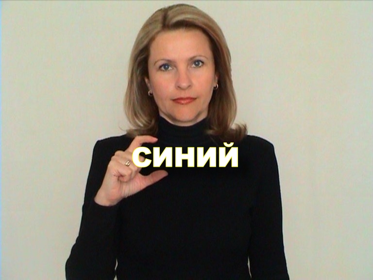 ЖЕСТОВЫЙ ЯЗЫК. СЛОВАРЬ. Синий