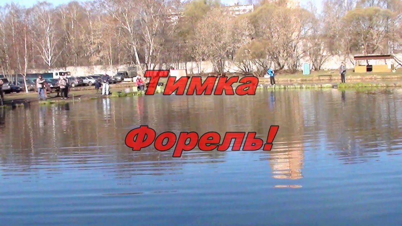 Тимка форель 17 04 2016